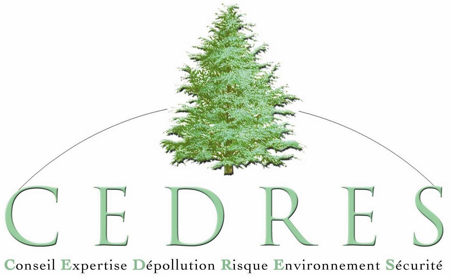 LOGO CEDRES – AMESHIDO – La brume des vents